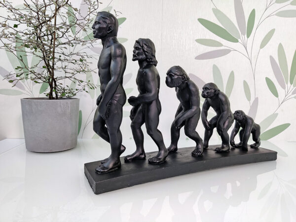 Abe til menneske evolution sort figur - gaven.shop